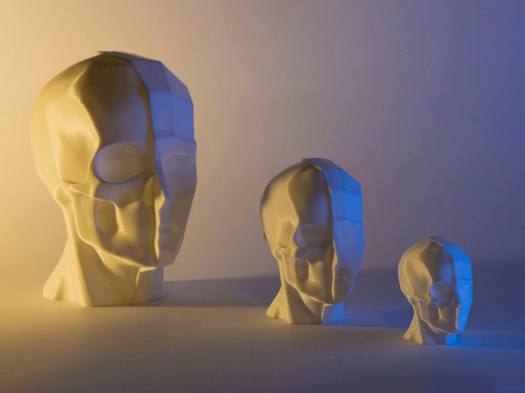 3D Printed Planar Head and Skull Sculpture Medical Decor, Unique Bone ...