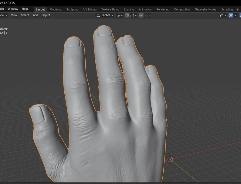 Detailed Anatomical Human Hand 3D Model Stl/3mf File | Realistic ...