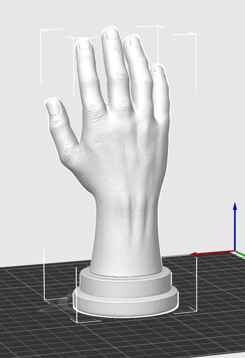 Detailed Anatomical Human Hand 3D Model Stl/3mf File | Realistic ...
