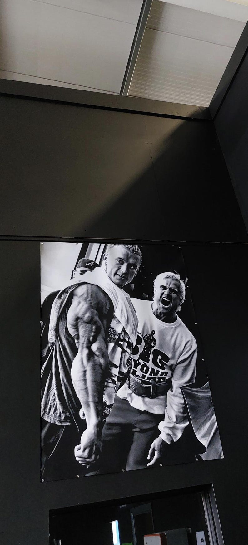 Lee Priest and Tom Platz Iconic Photo Wall Art Poster, Bodybuilding ...