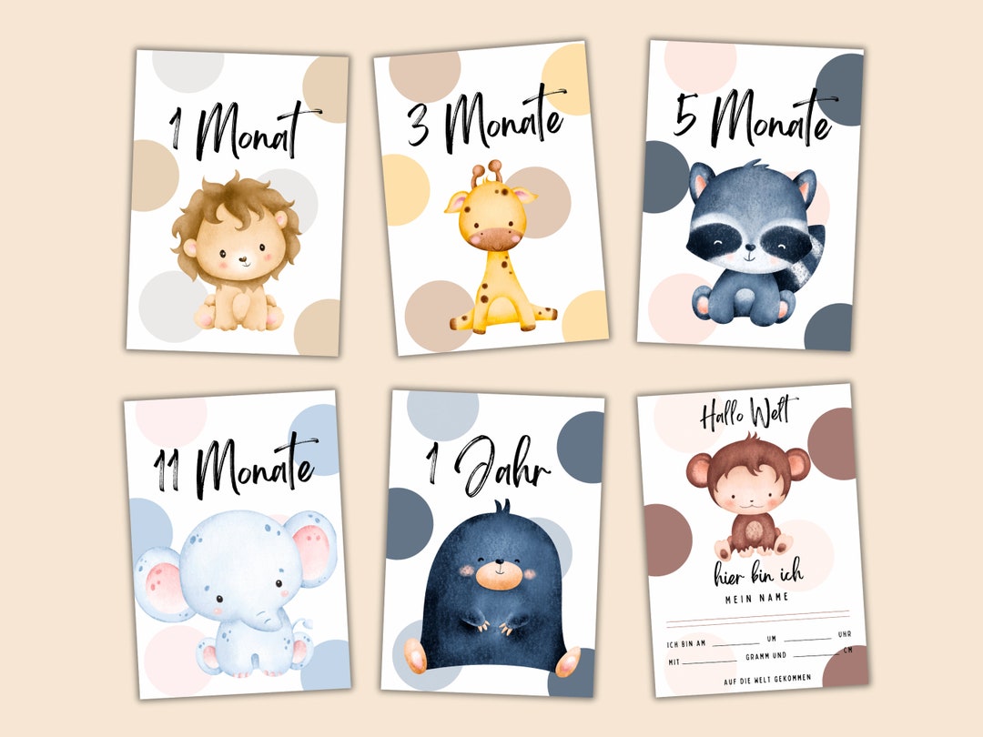 20 Milestone Cards Set 1-12 Months, Printable Monthly Milestone Cards ...