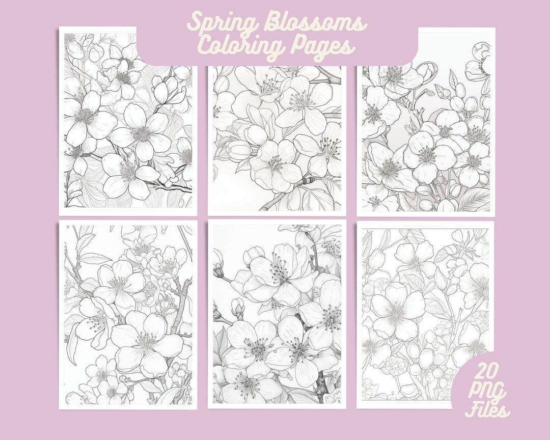 20 Spring Blossoms Coloring Pages Digital Download Wall Art - Etsy