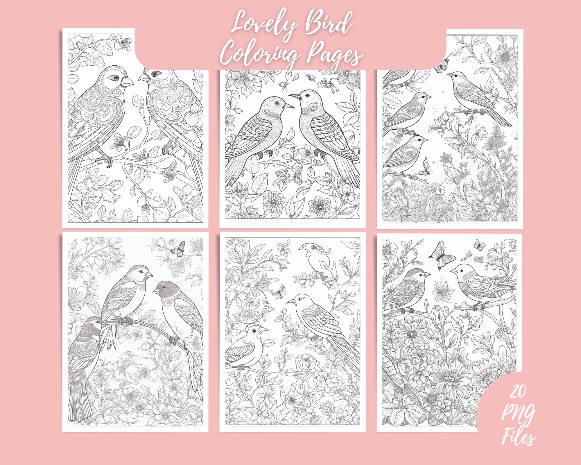 20 Beautiful Birds Coloring Pages Digital Download Wall Art - Etsy