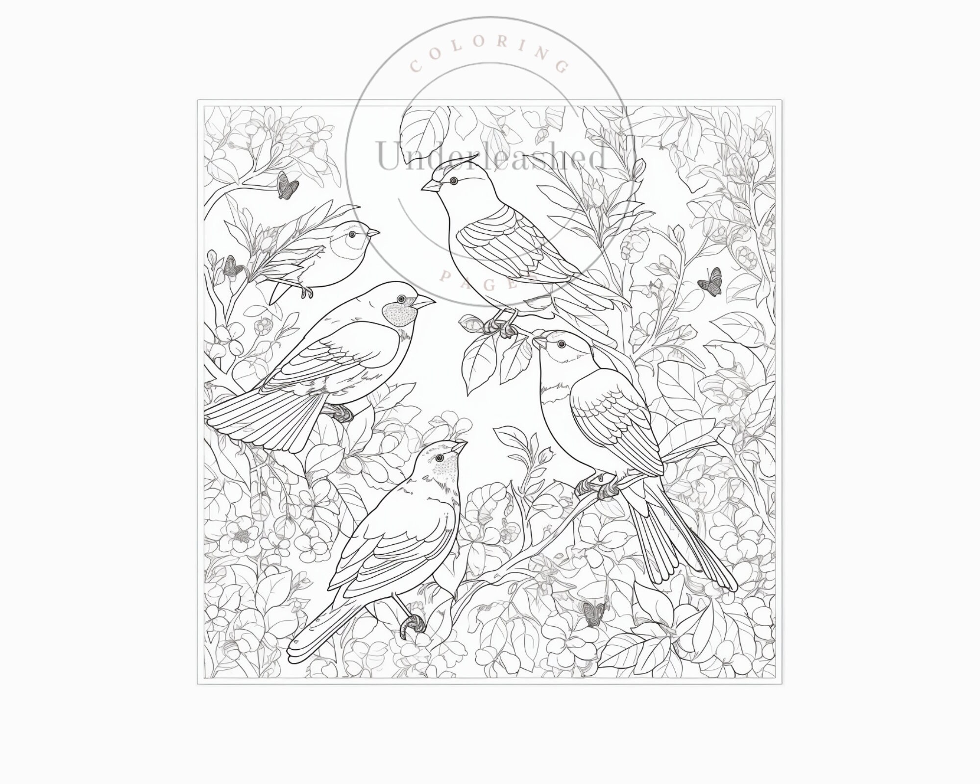 20 Beautiful Birds Coloring Pages Digital Download Wall Art - Etsy
