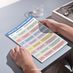 Executive Functioning Strategies Chart, ADHD Coping, Autism Therapeutic ...