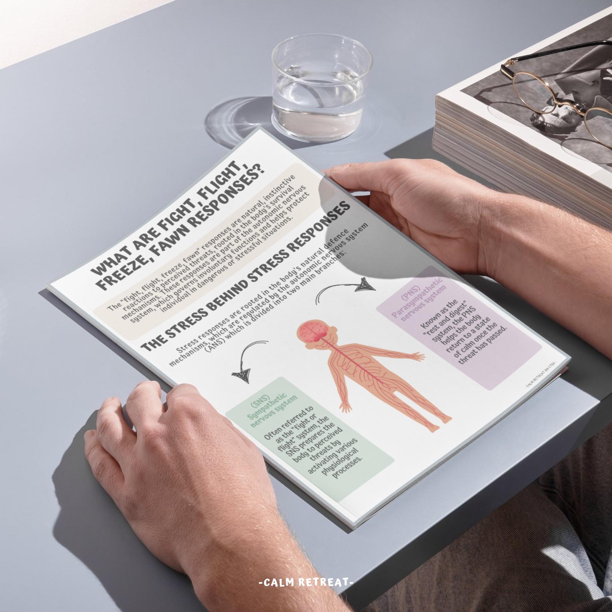 What Are Fight, Flight, Freeze, Fawn, Responses Printable, Stress ...