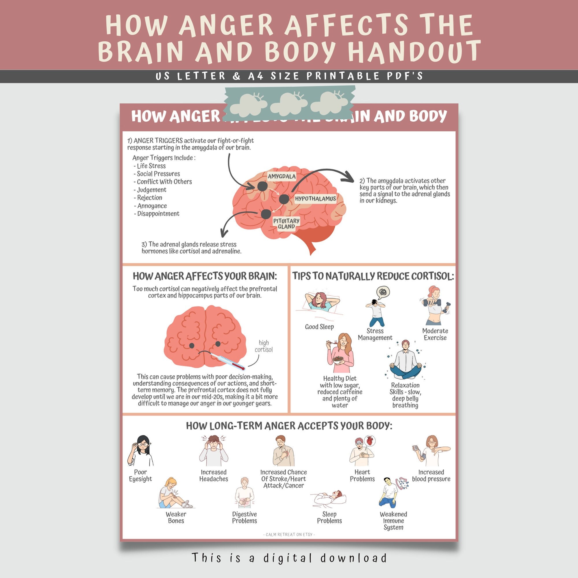 Anger Affects on Brain & Body Handout for Kids Teens, Mental Health ...