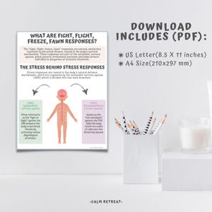 What Are Fight, Flight, Freeze, Fawn, Responses Printable, Stress ...