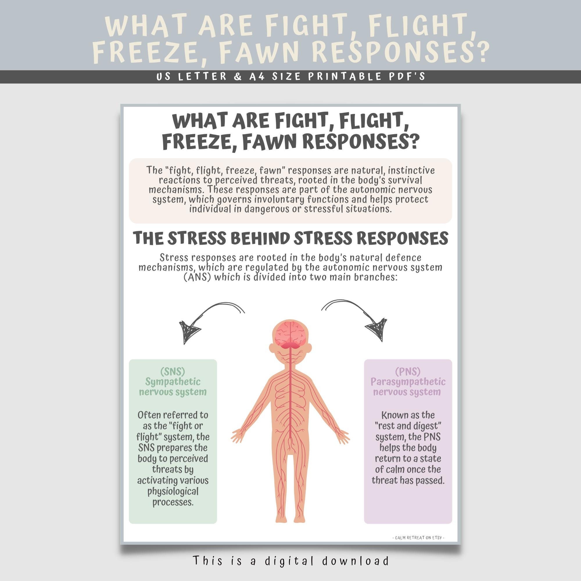What Are Fight, Flight, Freeze, Fawn, Responses Printable, Stress Response, Polyvagal Theory for ...