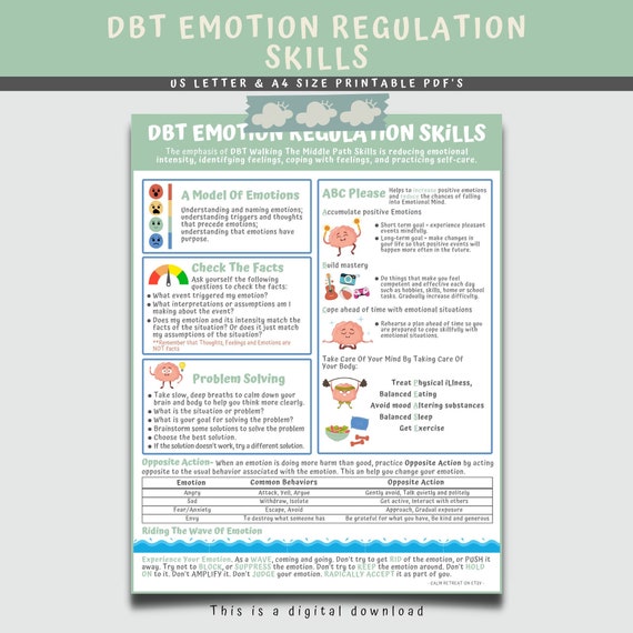 Dbt Emotion Regulation Handout 8