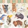 Australian Animals Birthday Bulletin Board Kit Editable Australian ...
