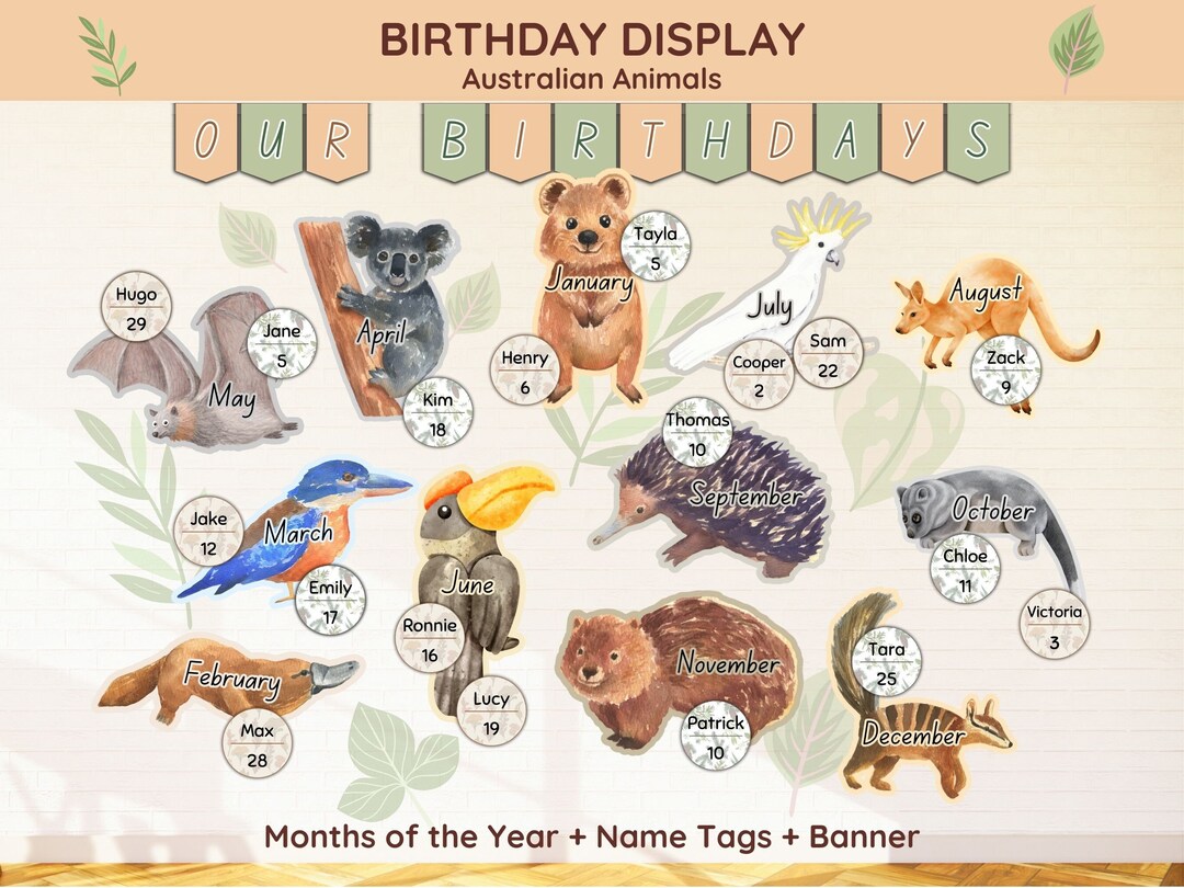 Australian Animals Birthday Bulletin Board Kit | Editable Australian ...