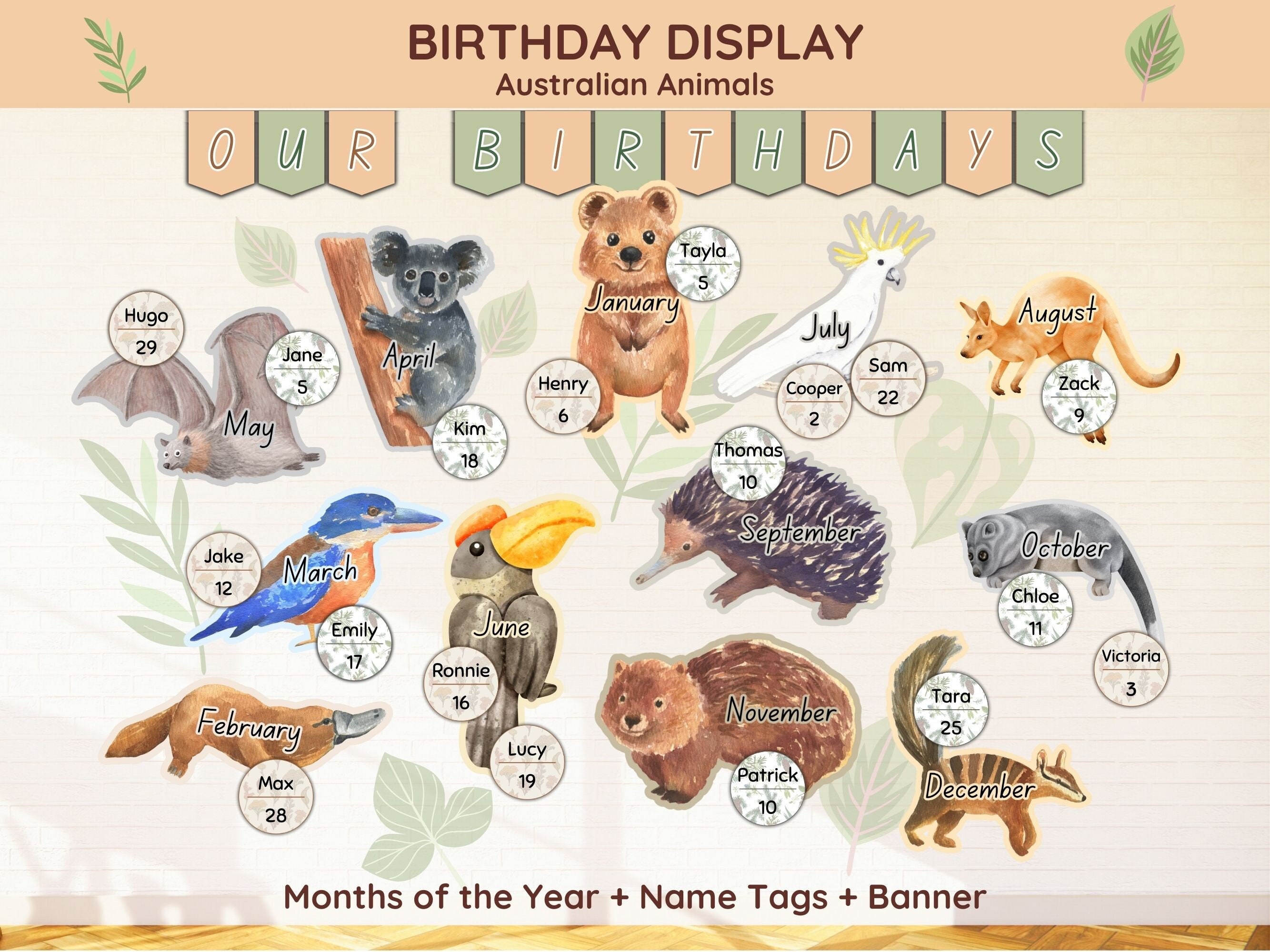 Australian Animals Birthday Bulletin Board Kit | Editable Australian ...