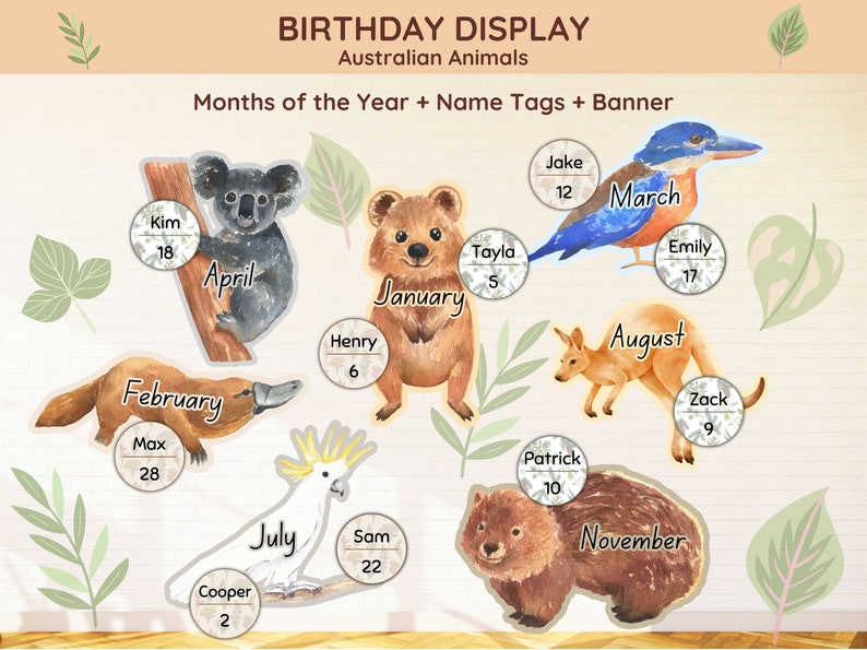 Australian Animals Birthday Bulletin Board Kit | Editable Australian ...
