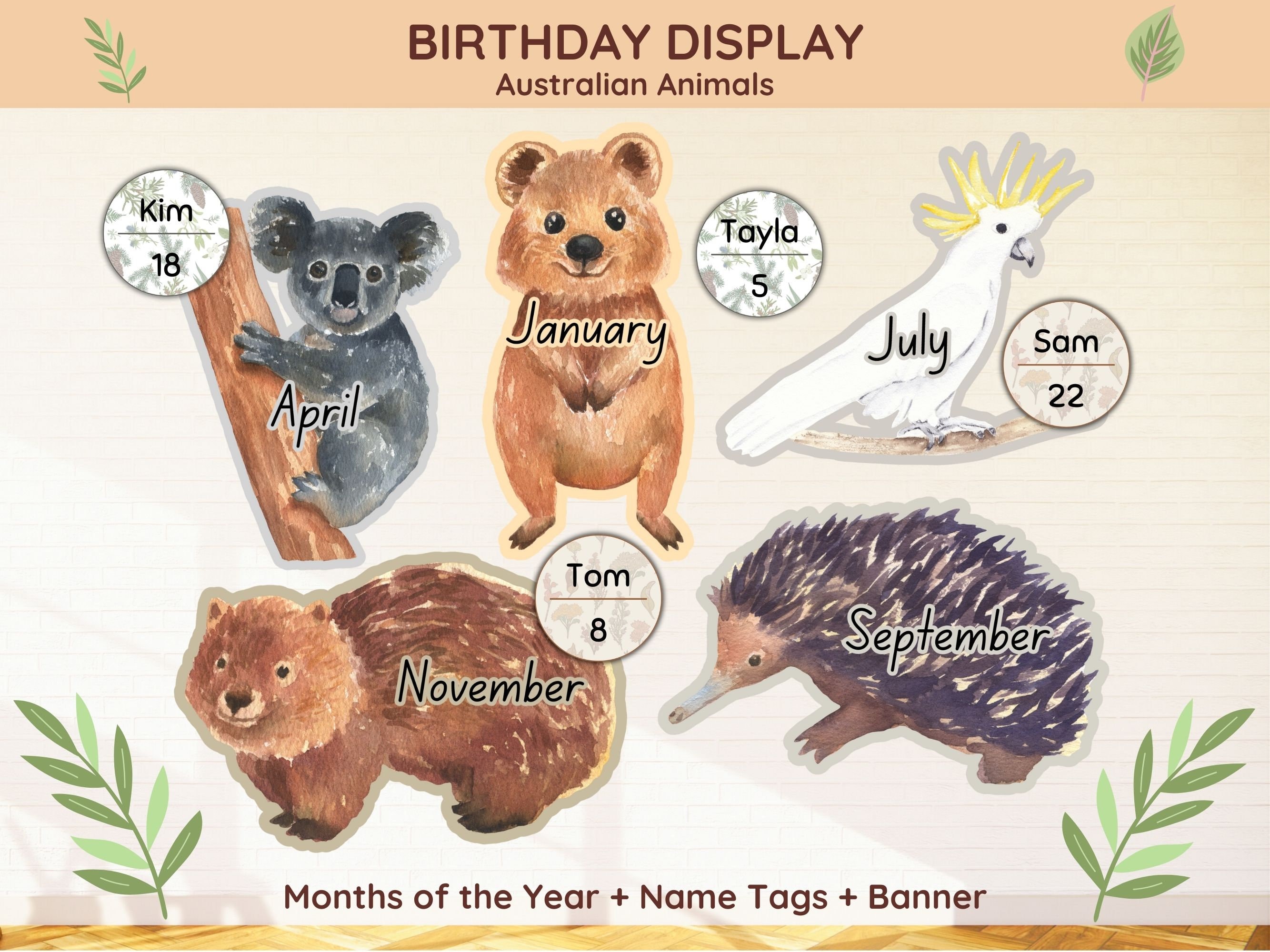 Australian Animals Birthday Bulletin Board Kit | Editable Australian ...