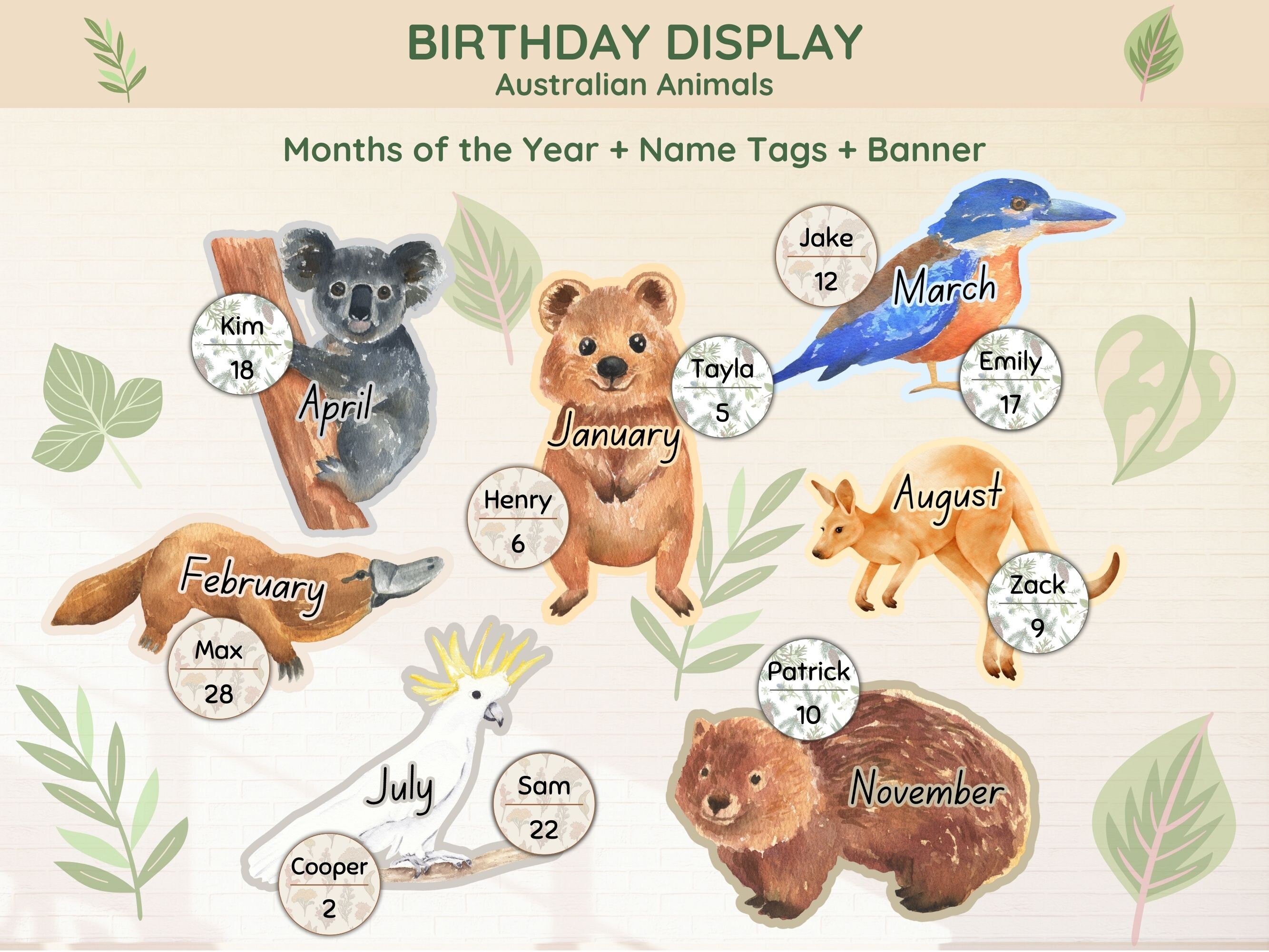 Australian Animals Birthday Bulletin Board Kit Editable Australian ...