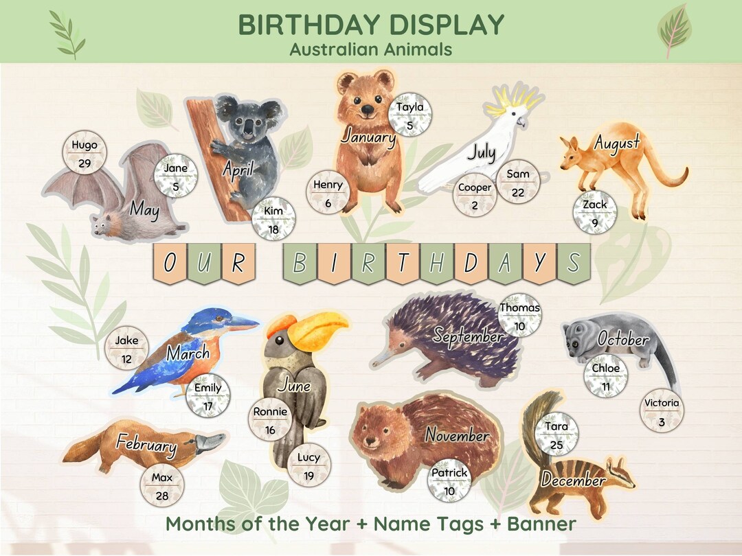 Australian Animals Birthday Bulletin Board Kit | Editable Australian ...