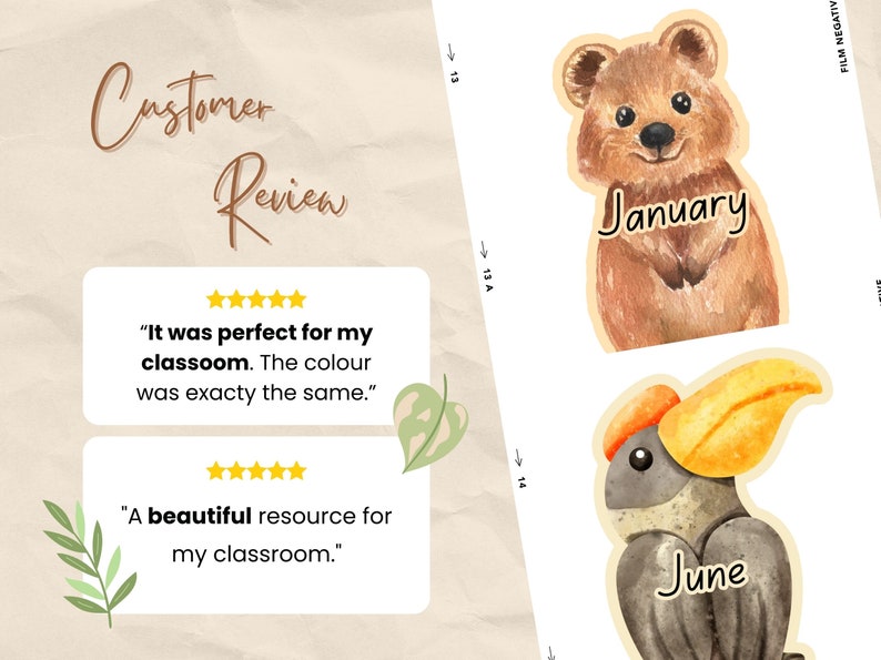 Australian Animals Birthday Bulletin Board Kit | Editable Australian ...