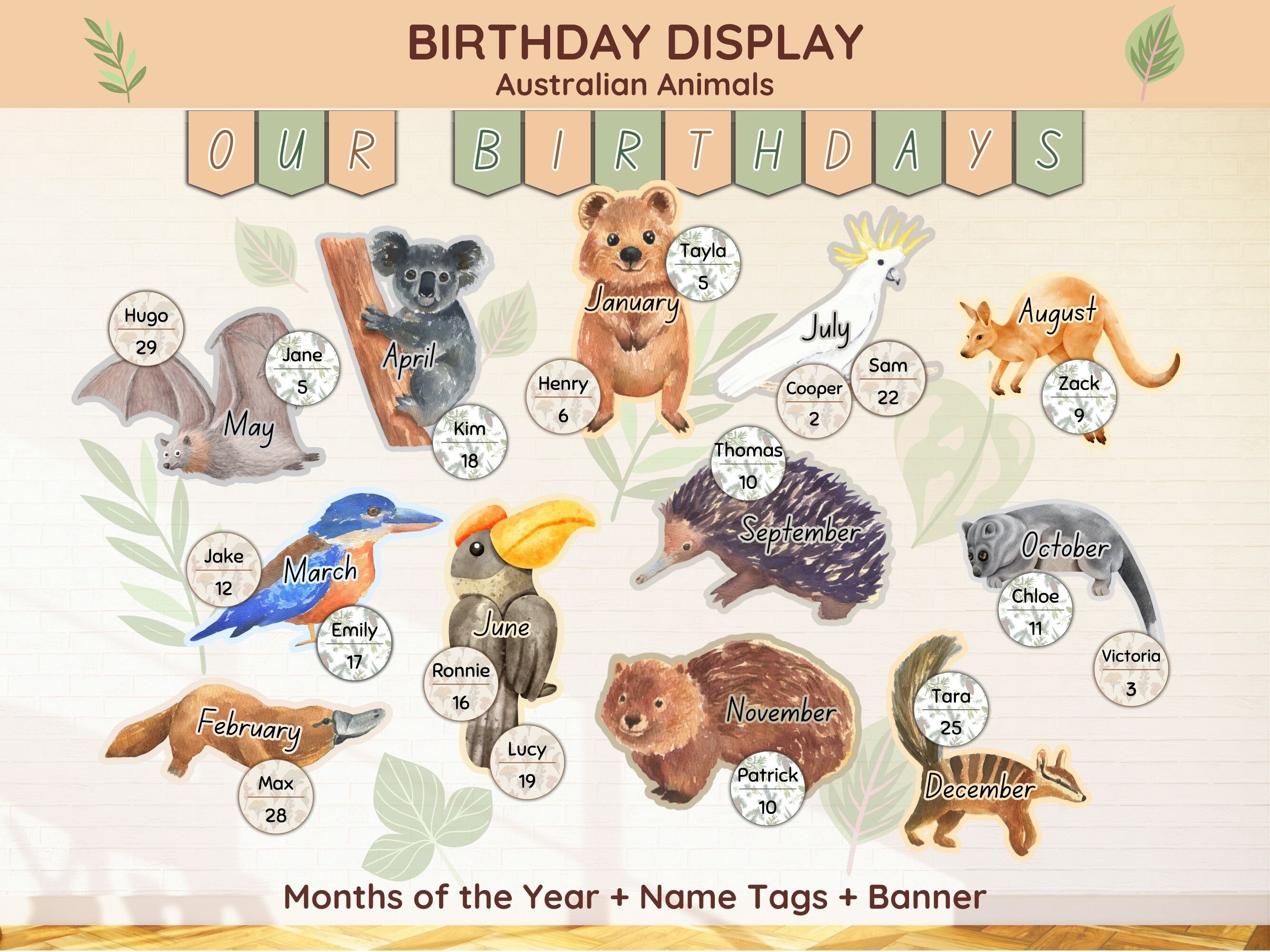 Australian Animals Birthday Bulletin Board Kit | Editable Australian ...