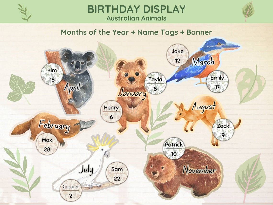 Australian Animals Birthday Bulletin Board Kit | Editable Australian ...