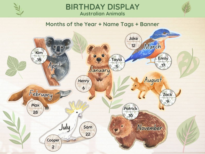 Australian Animals Birthday Bulletin Board Kit | Editable Australian ...