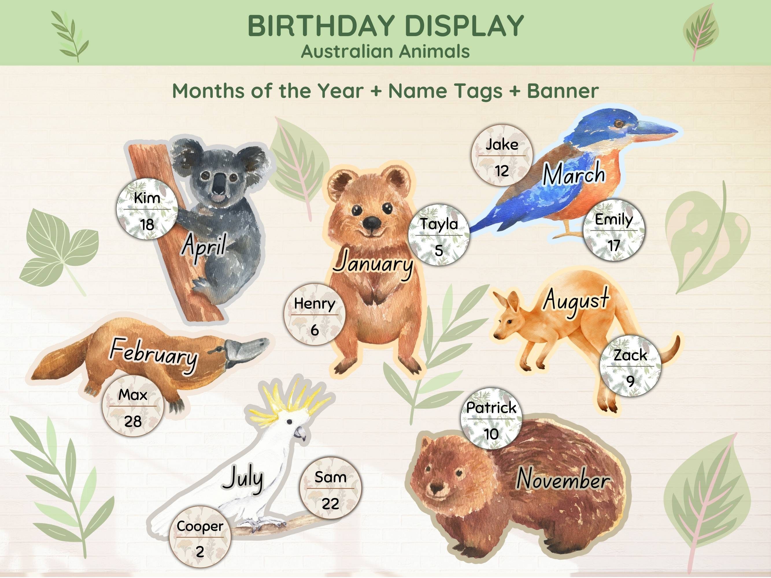 Australian Animals Birthday Bulletin Board Kit | Editable Australian ...