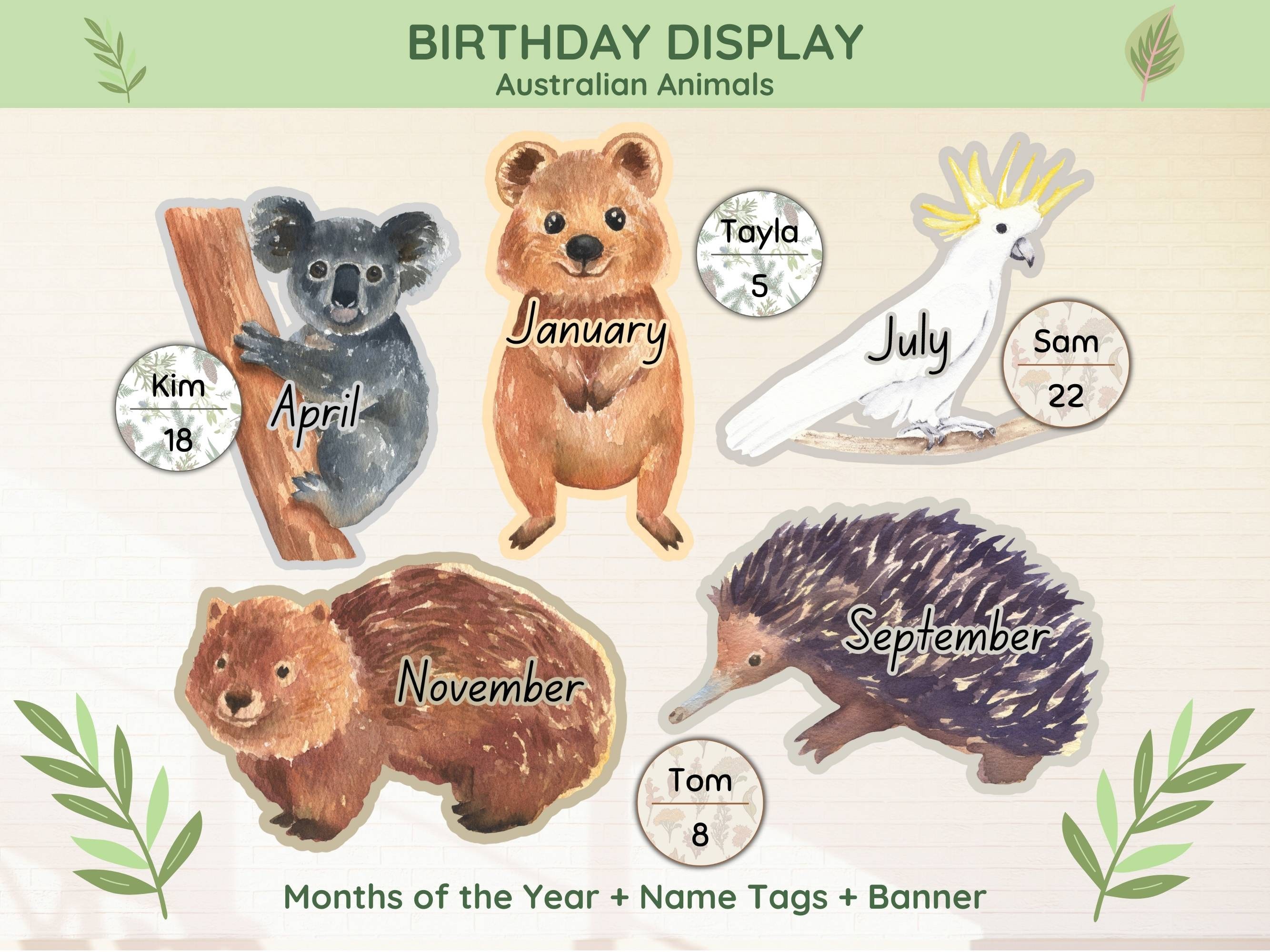 Australian Animals Birthday Bulletin Board Kit | Editable Australian ...