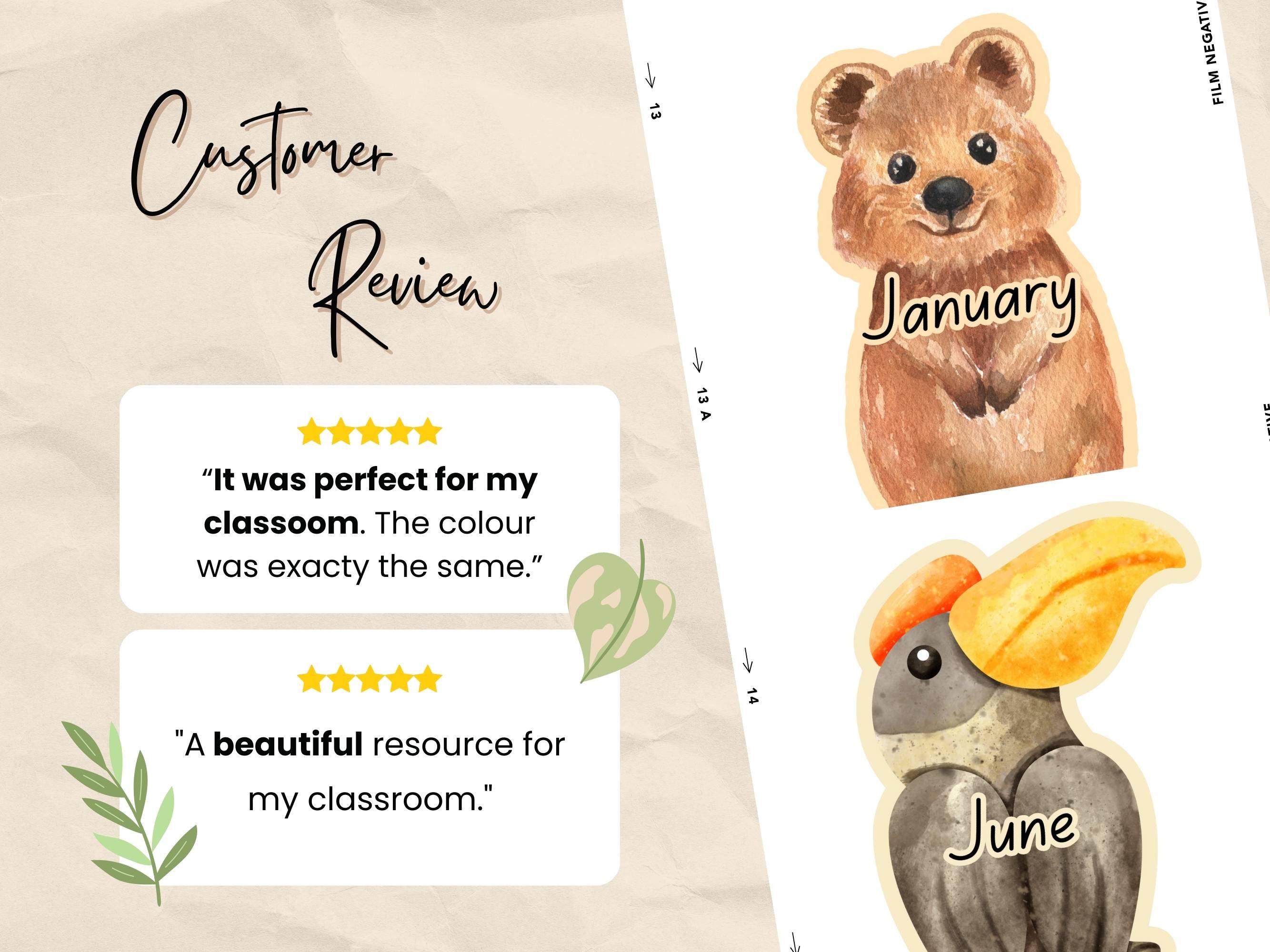 Australian Animals Birthday Bulletin Board Kit | Editable Australian ...