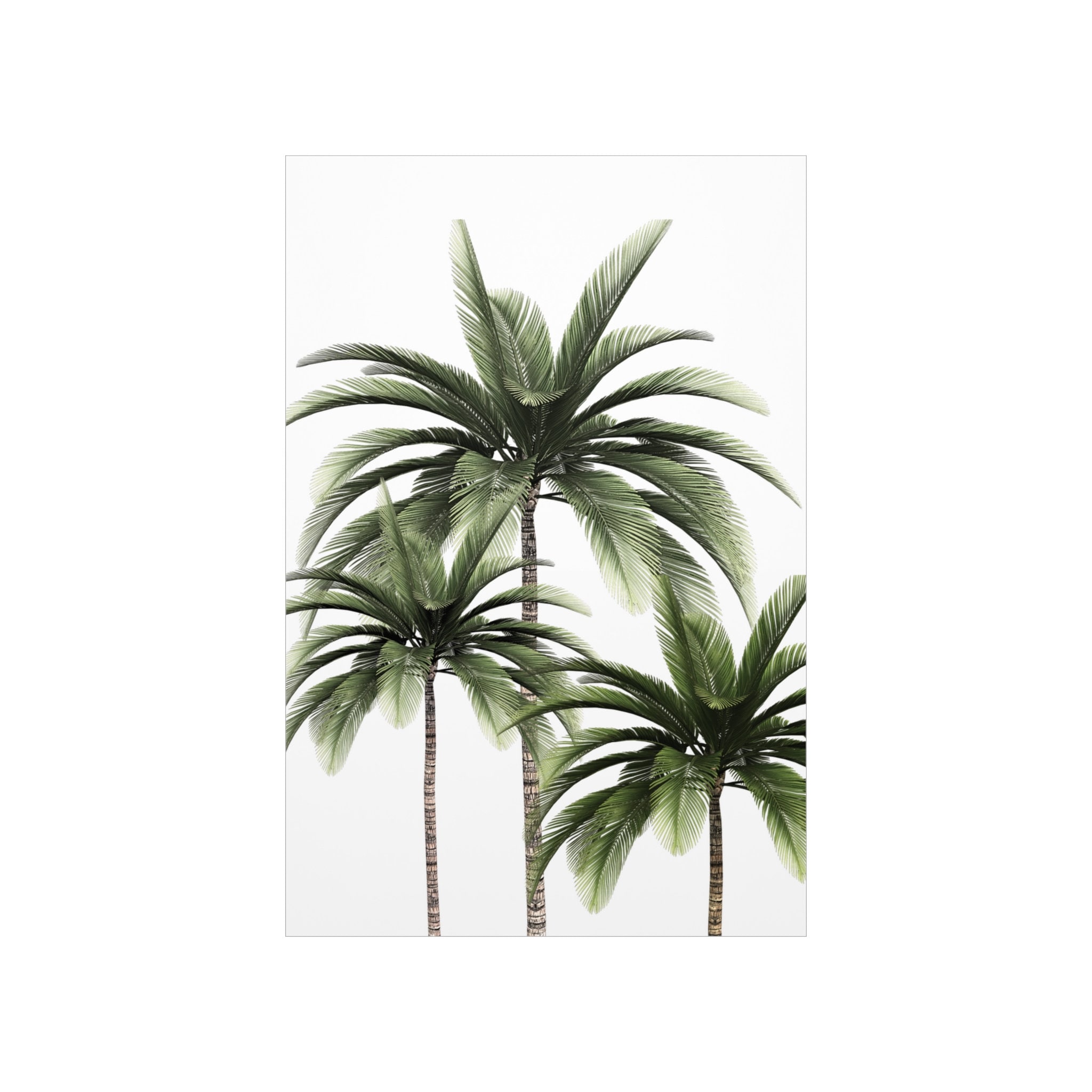 Palm Tree Poster - Etsy