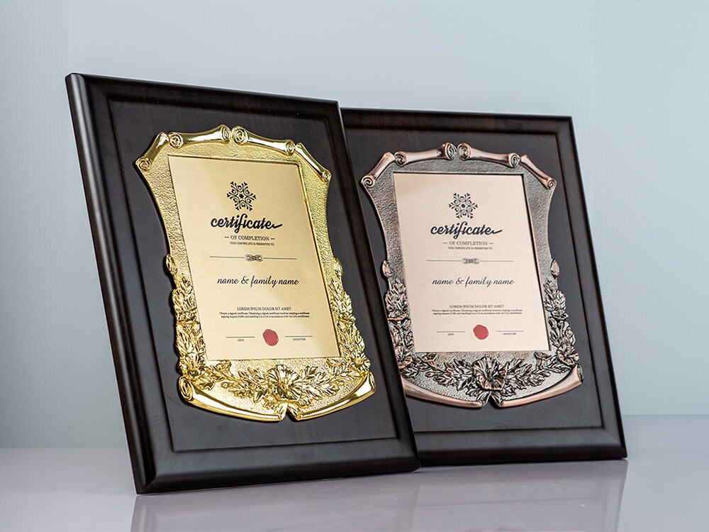 Custom Trophy Plaque, Wooden Trophy Plaque, Achievement Award, Business ...