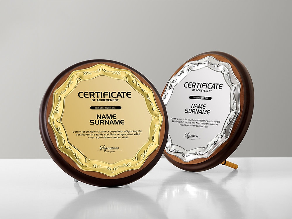 Custom Trophy Plaque, Round Trophy Plaque, Achievement Award, Business ...