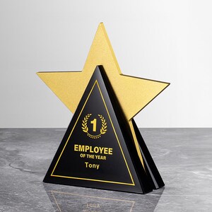 Custom Trophy, Add Logo, Employee Award, Achievement Award, Business ...
