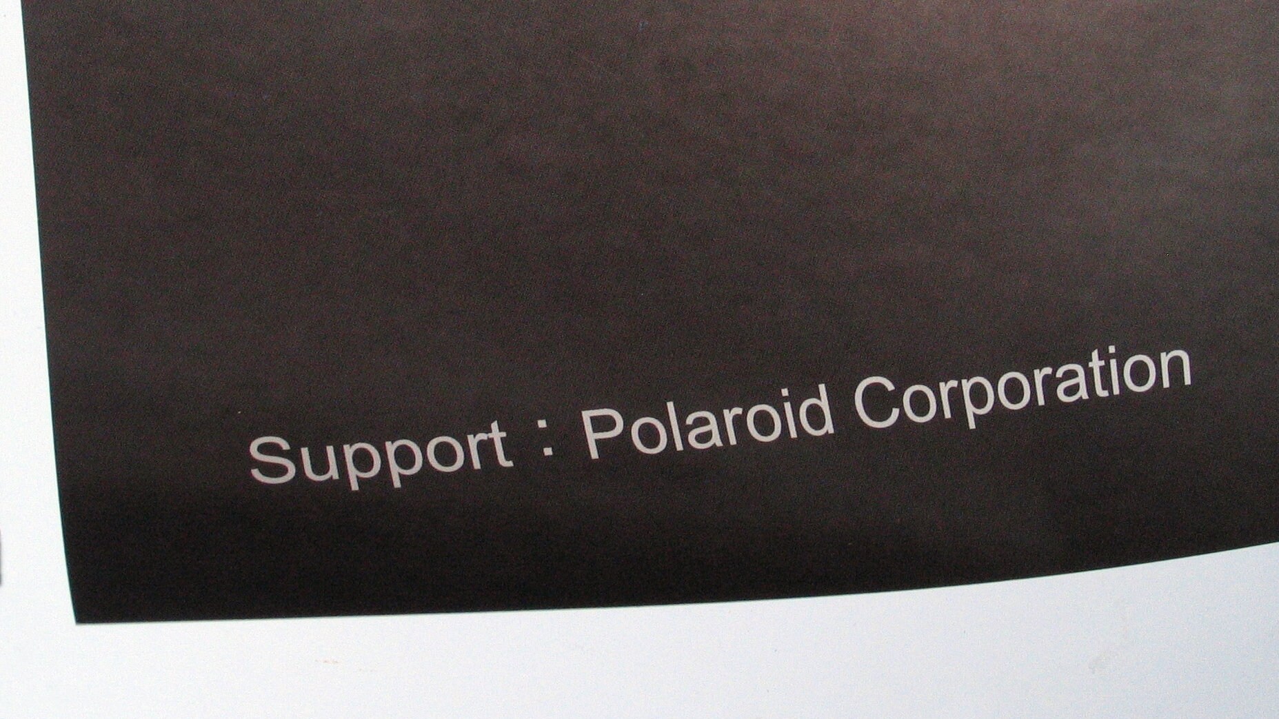 RARE Polaroid Autofocus 660 Clear Camera 2006 Exhibition Polala ...