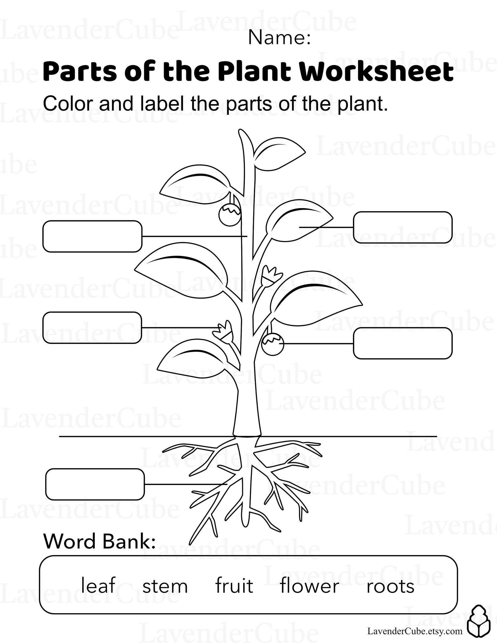 Parts of the Plant Coloring Worksheet - Plant Diagram - Homeschool ...