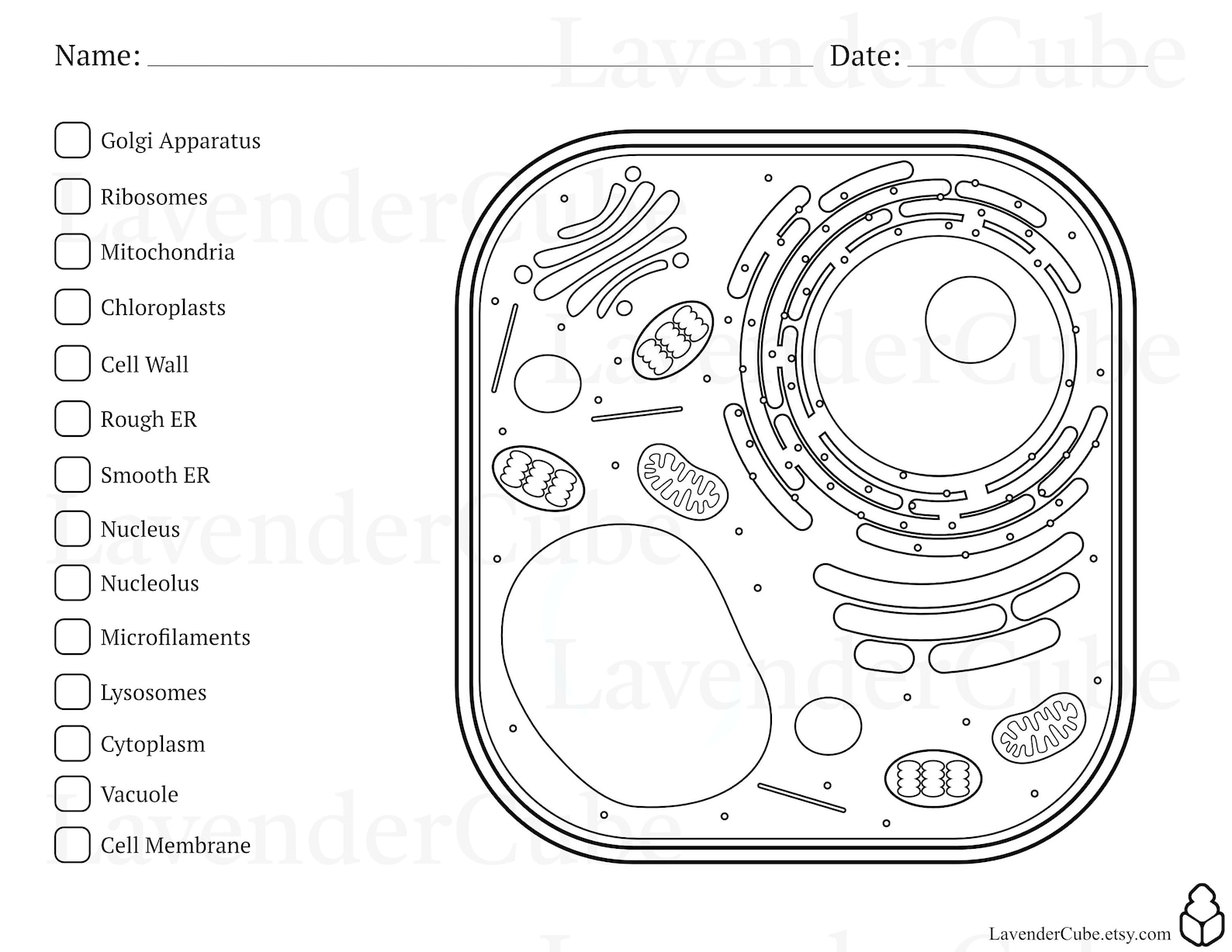 Animal and Plant Cell Coloring Worksheets Digital Download 300 DPI Png ...