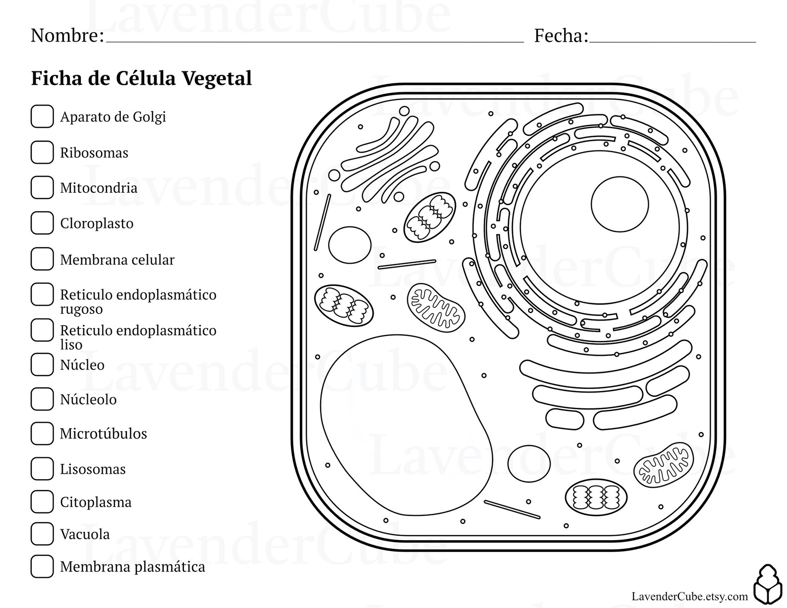 Animal and Plant Cell Coloring Worksheets (spanish Translation ...
