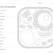 Animal and Plant Cell Coloring Worksheets - Digital Download - 300 DPI ...