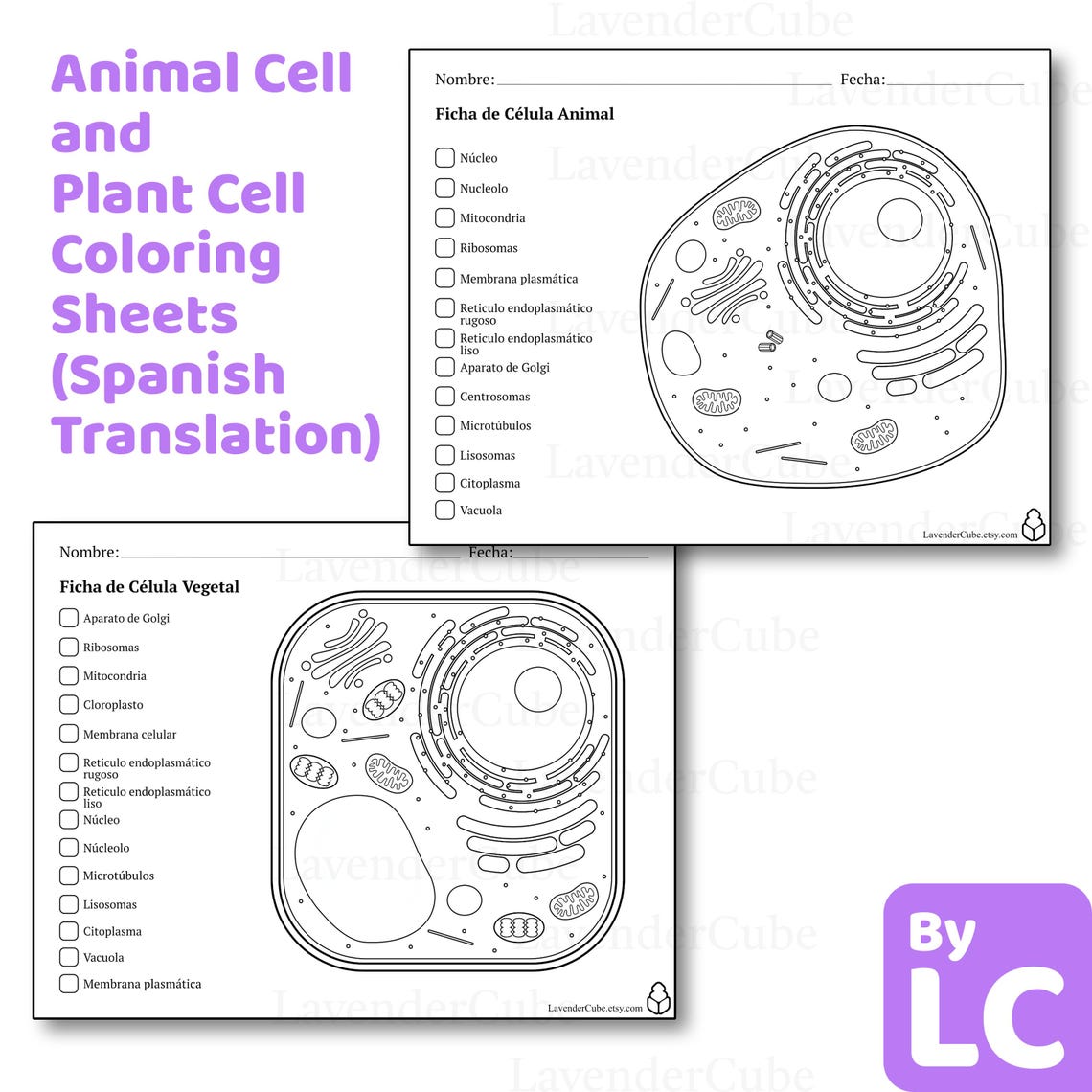 Animal and Plant Cell Coloring Worksheets (spanish Translation ...