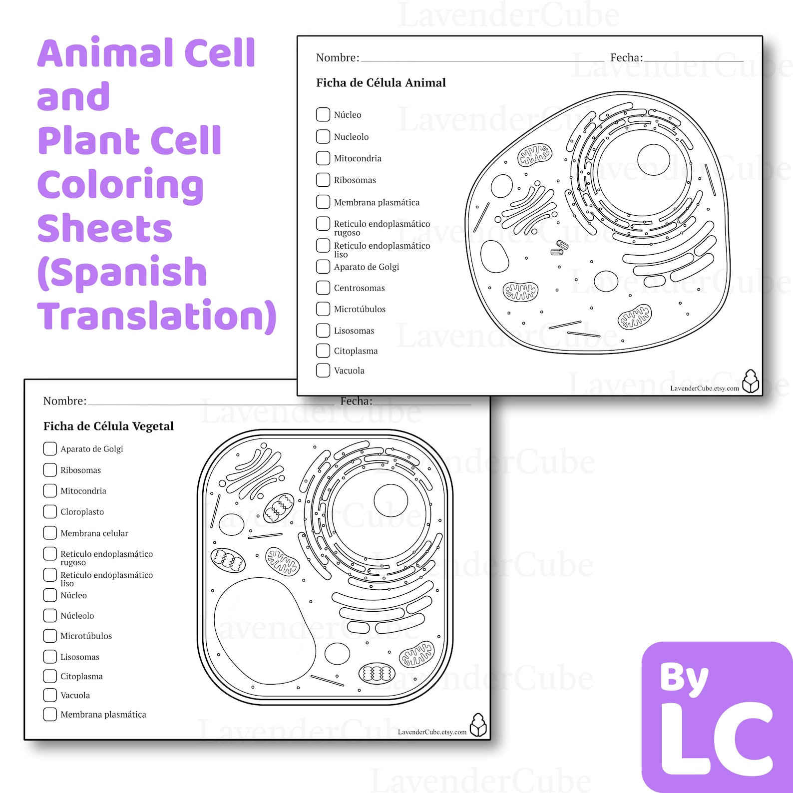 Animal and Plant Cell Coloring Worksheets (spanish Translation ...