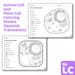 Animal and Plant Cell Coloring Worksheets (spanish Translation ...