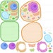 Cell Diagram and Parts of the Cell Clipart - Digital Download - 300 DPI ...
