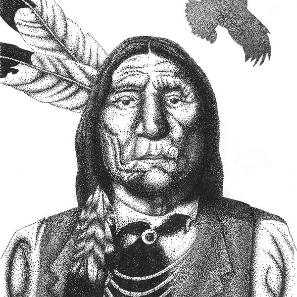 Chief Wolf Robe - Etsy