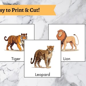 30 Wild Animals Flash Cards, Pre-school Montessori Flash Cards ...