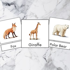 30 Wild Animals Flash Cards, Pre-school Montessori Flash Cards ...