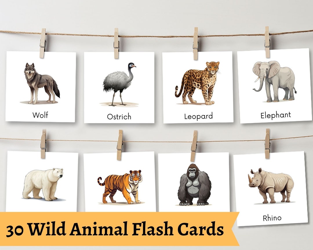 30 Wild Animals Flash Cards, Pre-school Montessori Flash Cards ...