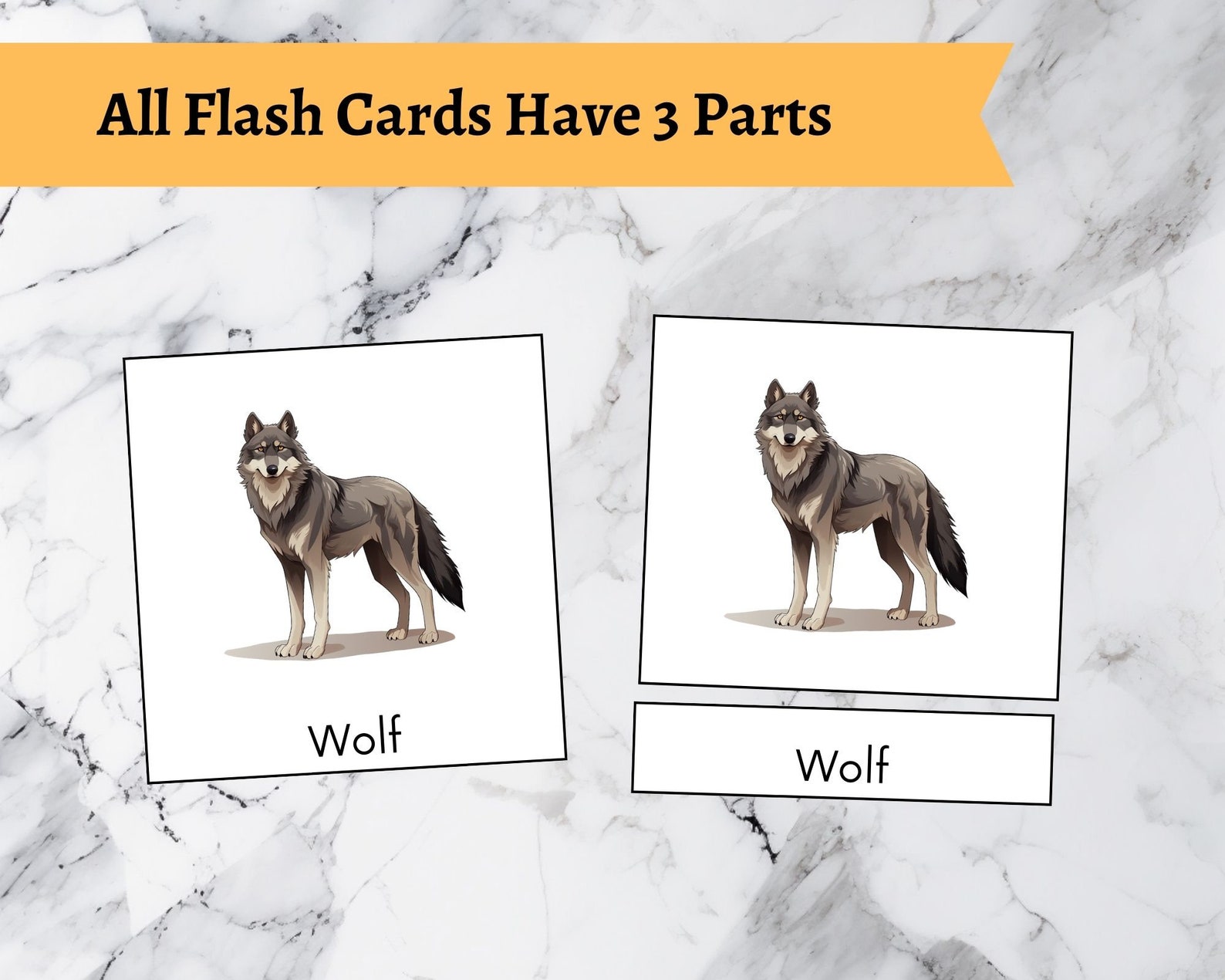 30 Wild Animals Flash Cards, Pre-school Montessori Flash Cards ...