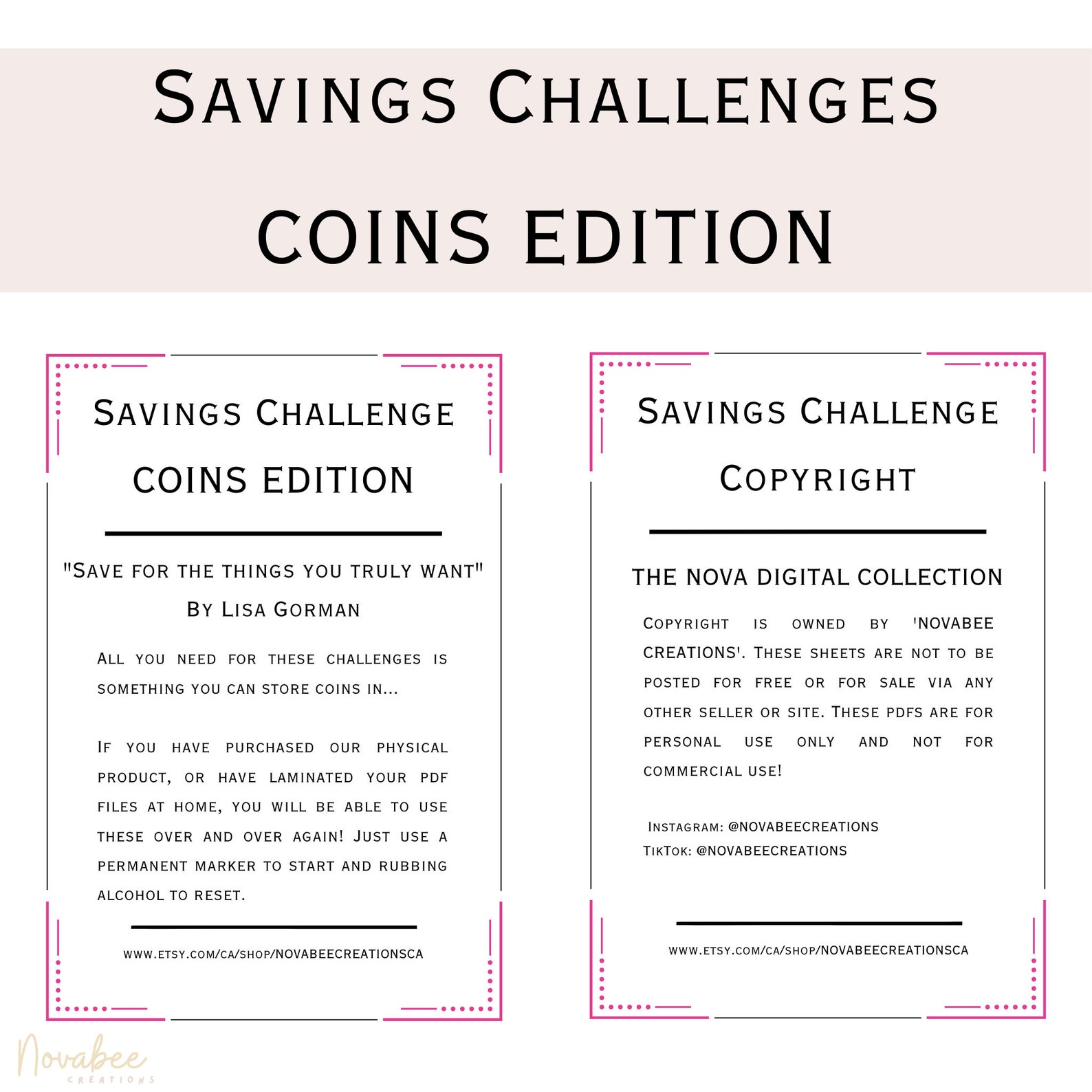 Mini Coin Savings Challenge | Savings Challenge | Toonie | Loonie ...