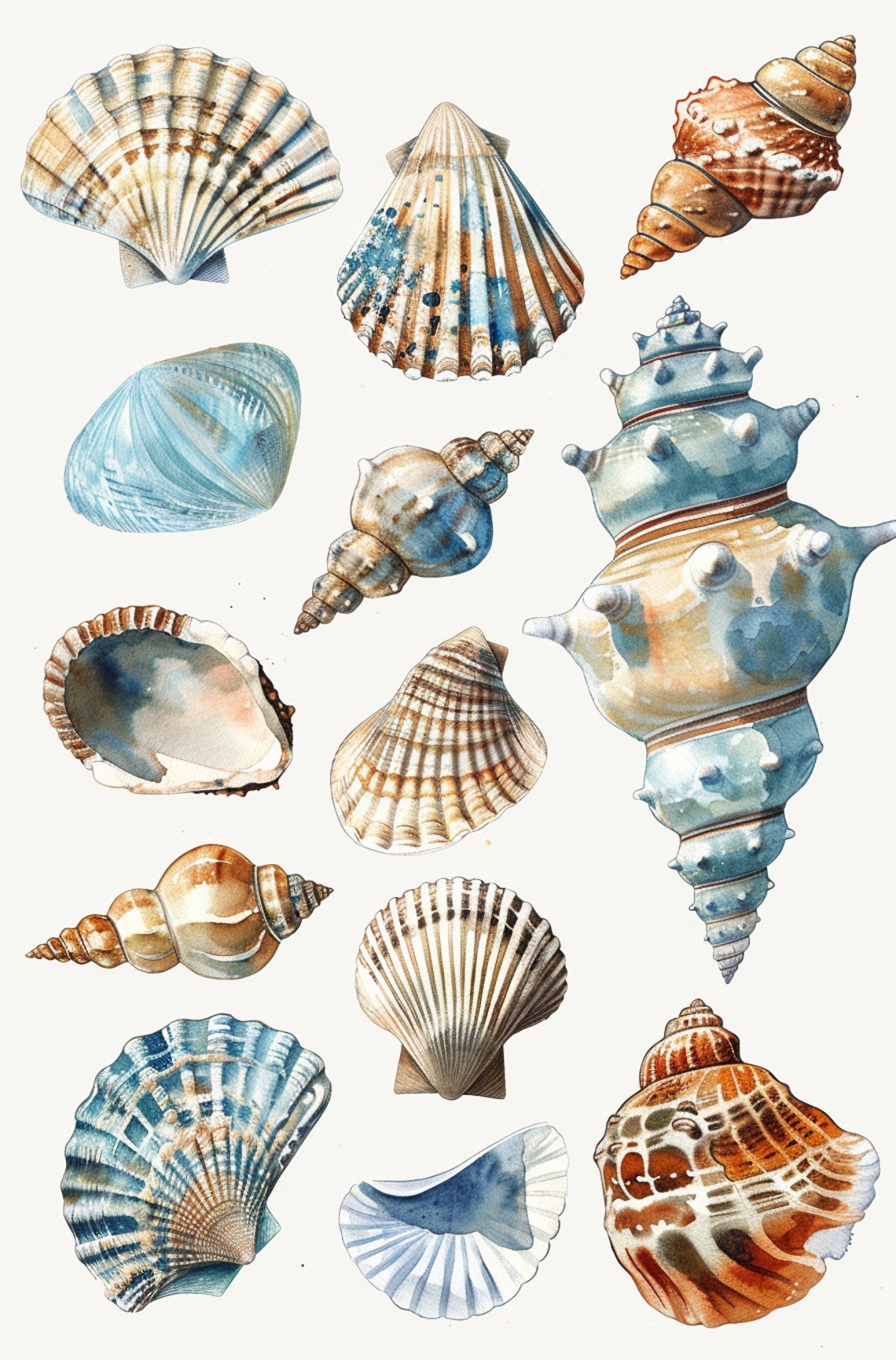 Shells and Corals, Clip Art, PNG, Digital Images, Design Elements ...