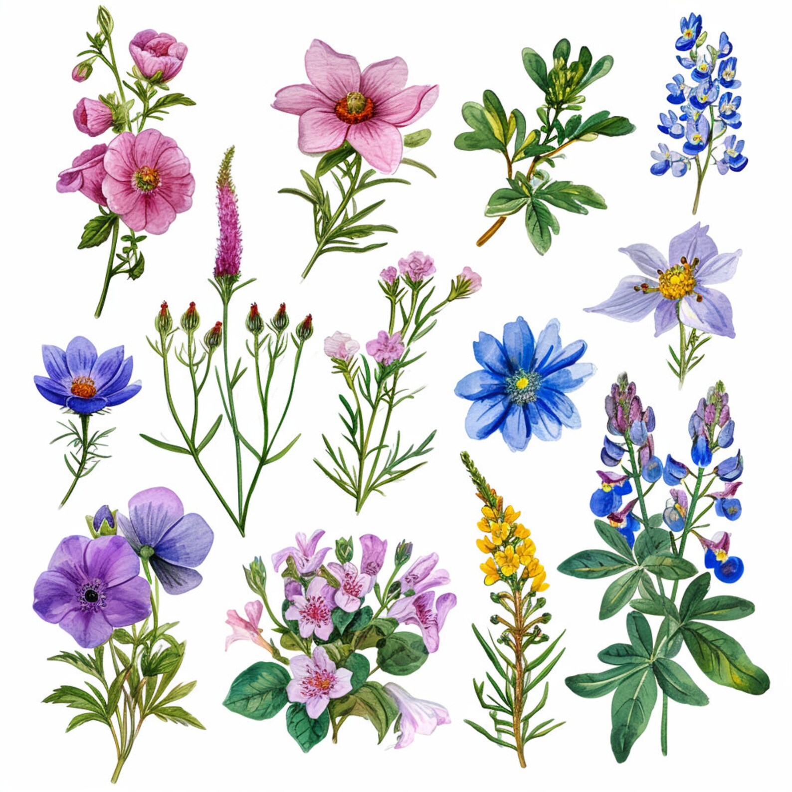 Watercolor, Clip Art, PNG, Wildflowers, Flower Arrangement, Home Decor ...
