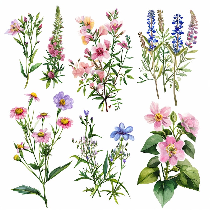 Watercolor, Clip Art, PNG, Wildflowers, Flower Arrangement, Home Decor ...